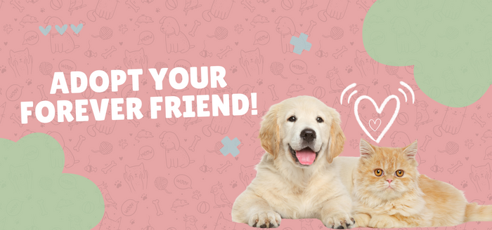 ZUE - Pet Supplies Store in Kuwait